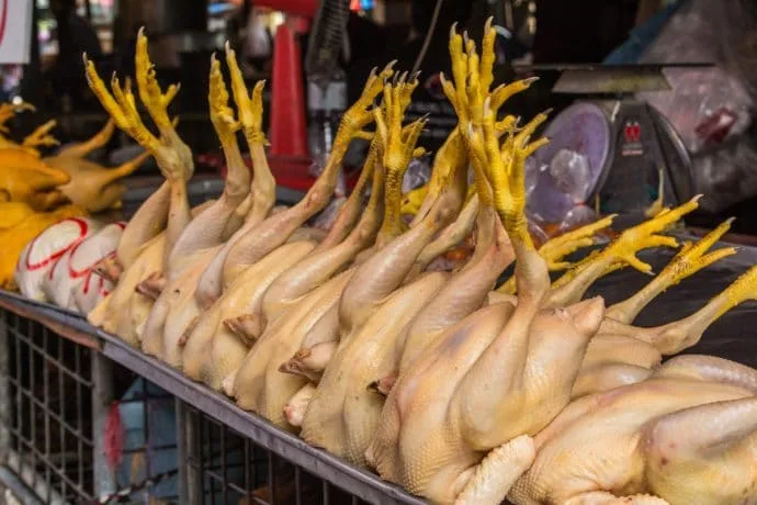 Khlong Toei: Encounters in Bangkok's Largest Slum