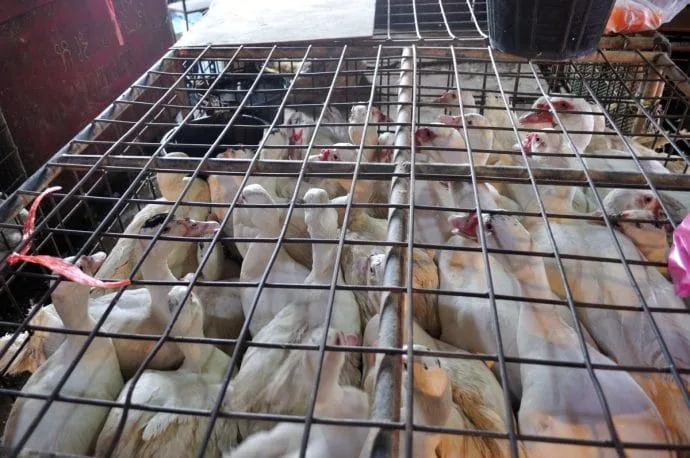 Khlong Toei: Encounters in Bangkok's Largest Slum