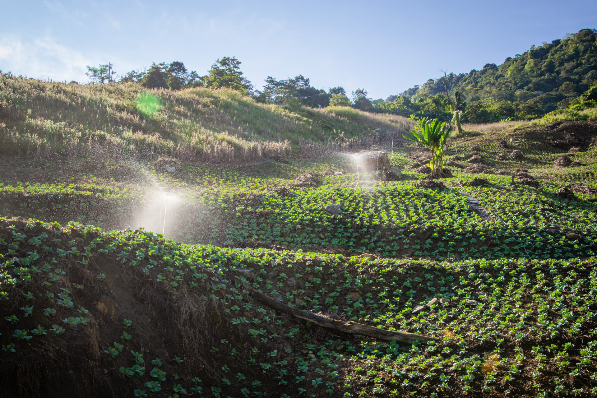 Doi Pha Tang : un superbe panorama sur le Laos