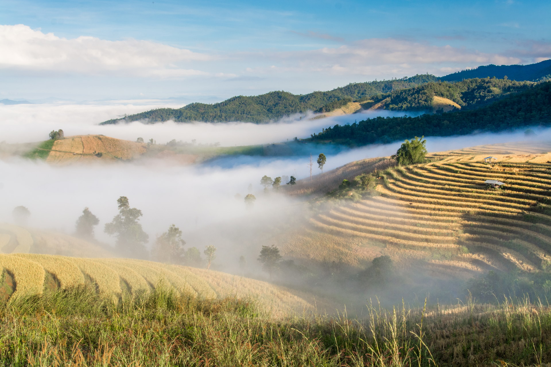 Ban Pa Pong Piang, the most beautiful rice fields in Thailand