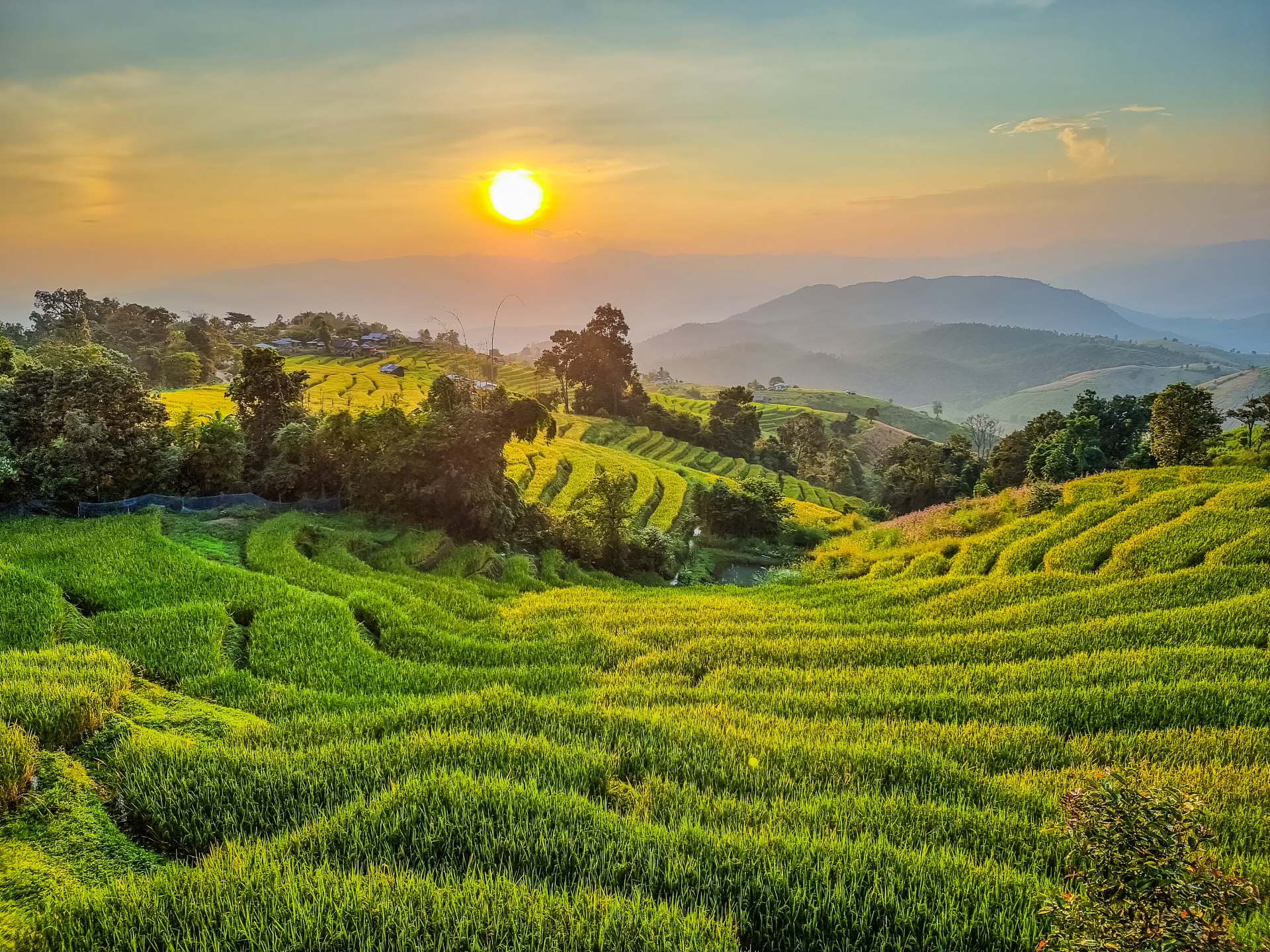 Ban Pa Pong Piang, the most beautiful rice fields in Thailand