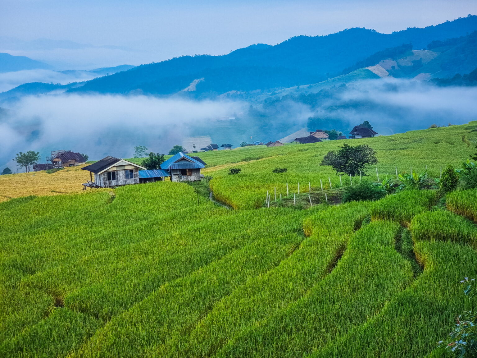 Ban Pa Pong Piang, the most beautiful rice fields in Thailand
