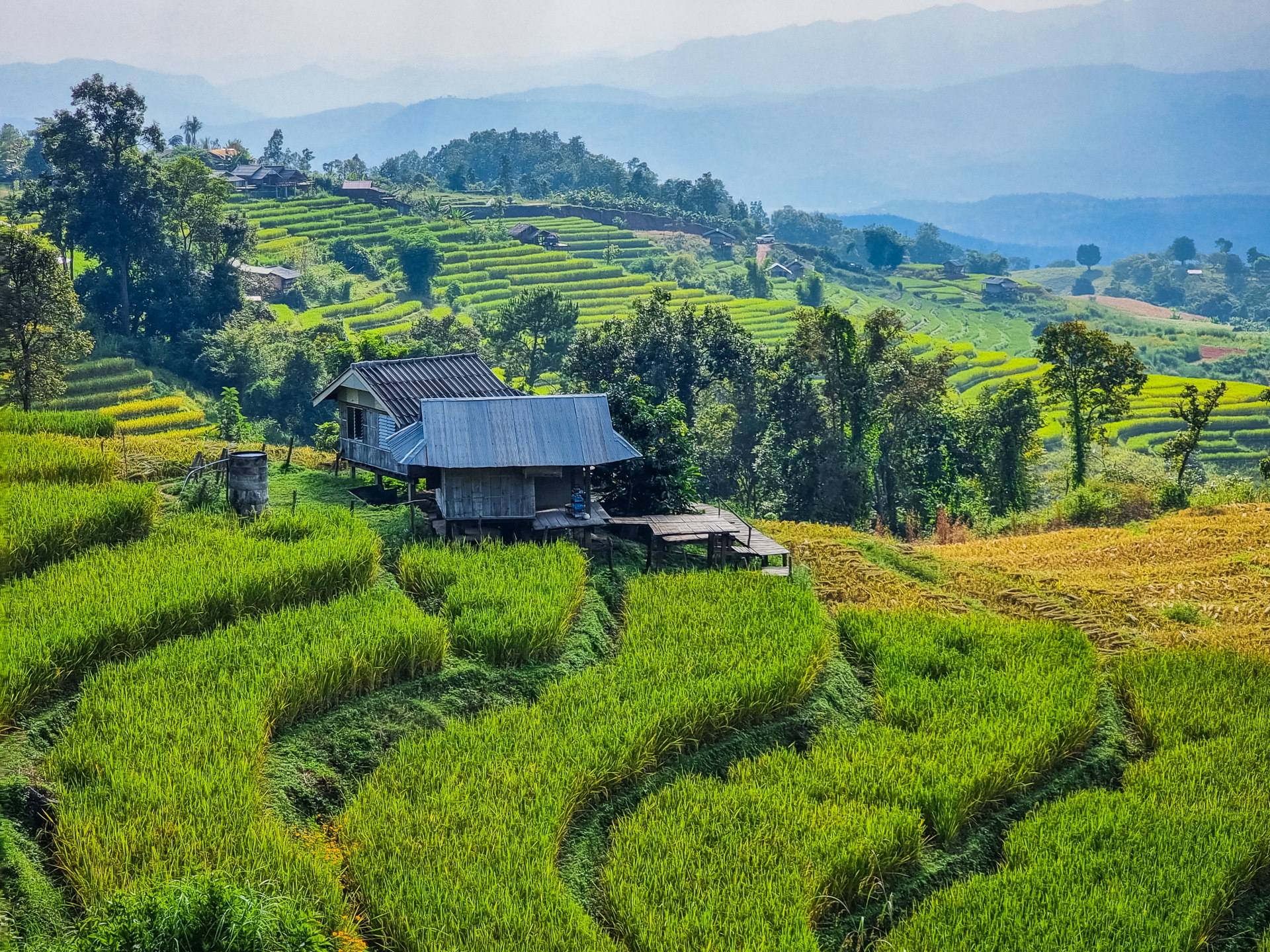 Ban Pa Pong Piang, the most beautiful rice fields in Thailand