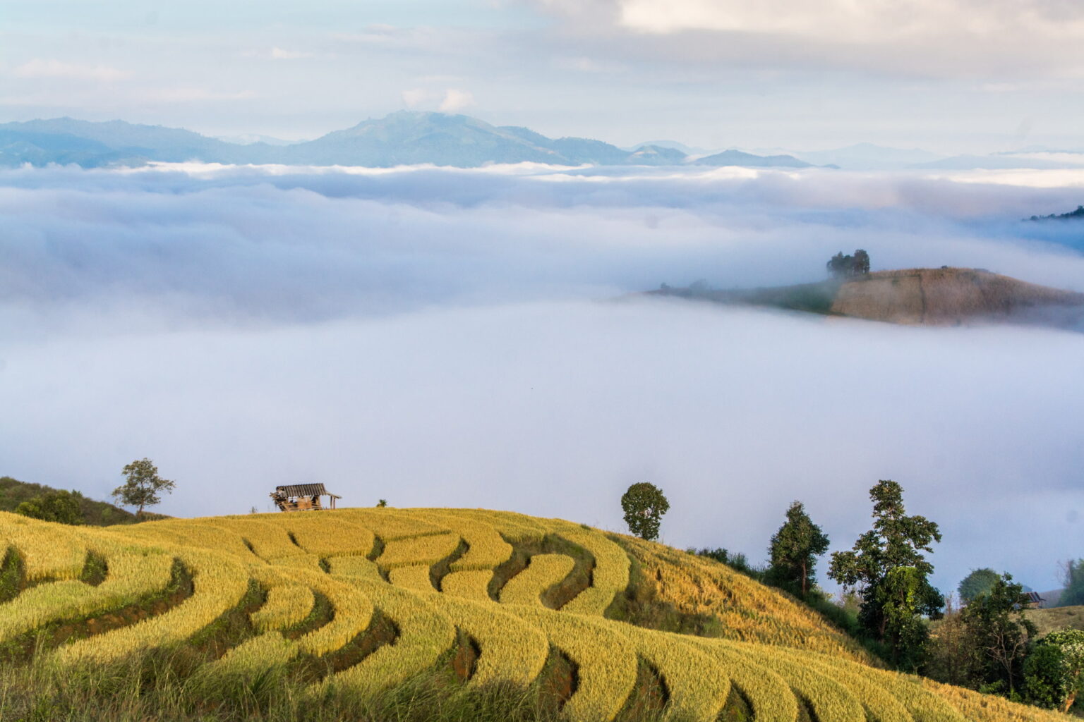 Ban Pa Pong Piang, the most beautiful rice fields in Thailand