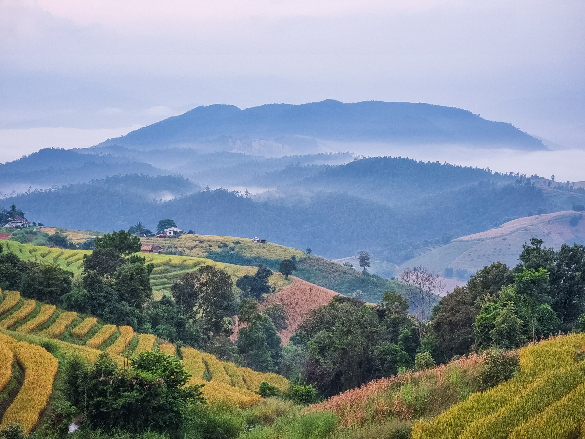 Ban Pa Pong Piang, the most beautiful rice fields in Thailand