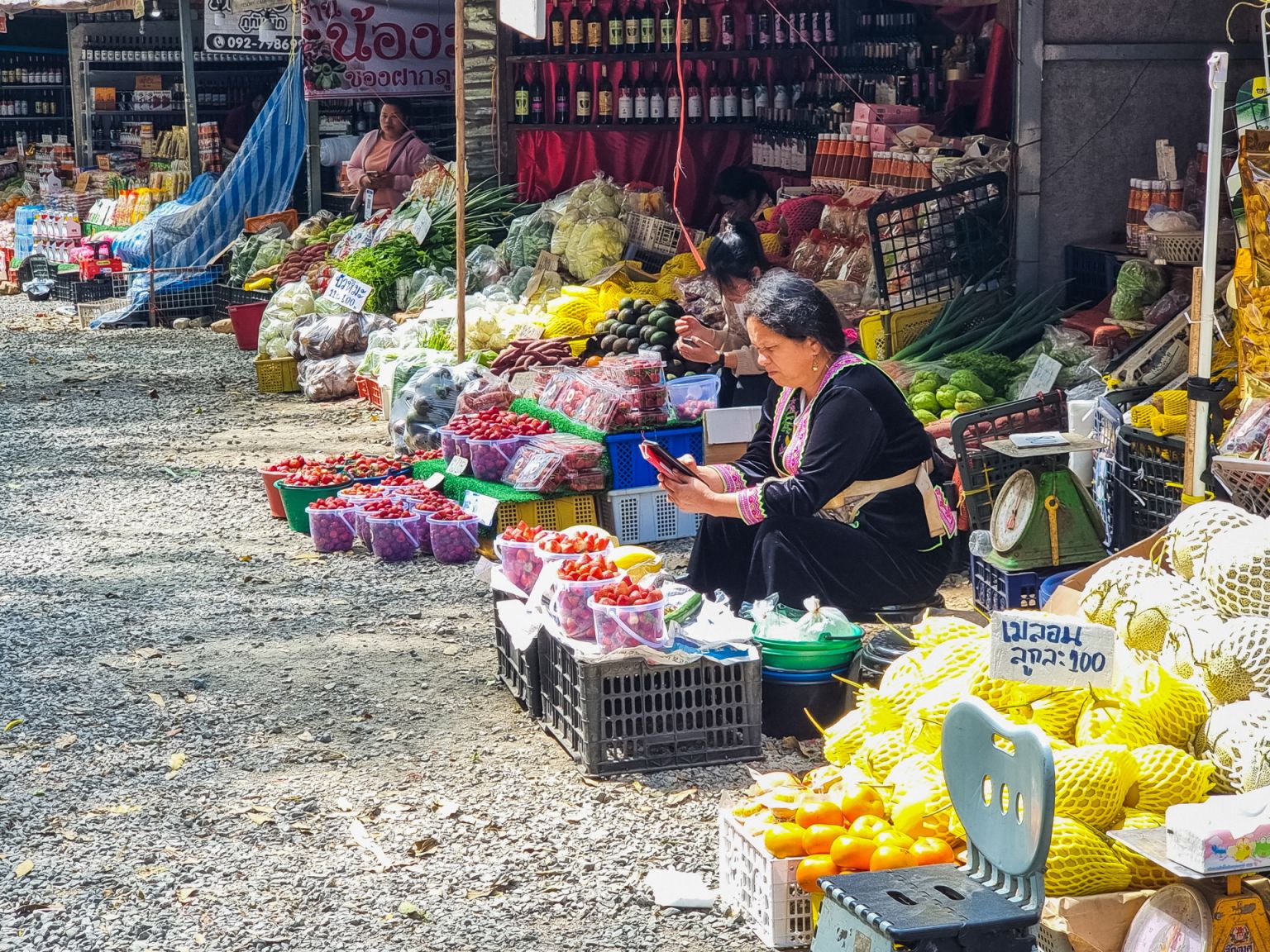 Phu Thap Boek: What to see on Phetchabun's highest mountain?